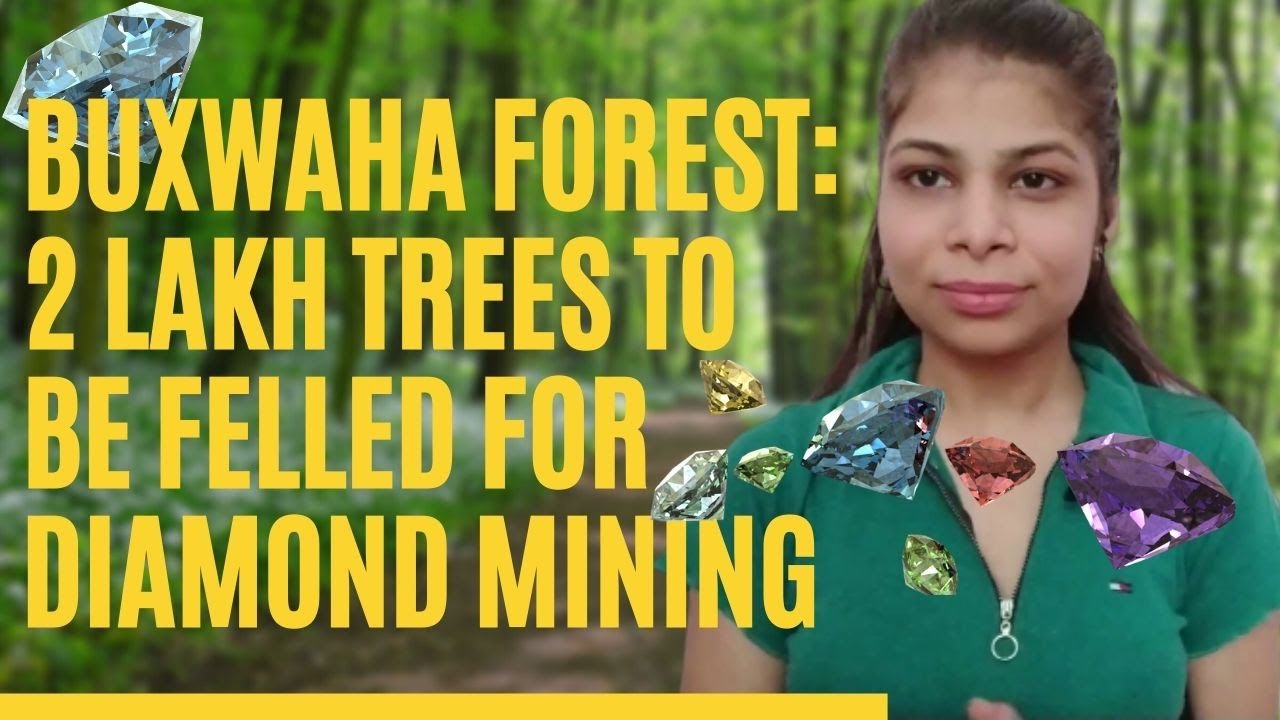 Buxwaha Forest: 2 Lakh Trees To Be Felled For Diamond Mining In Madhya ...