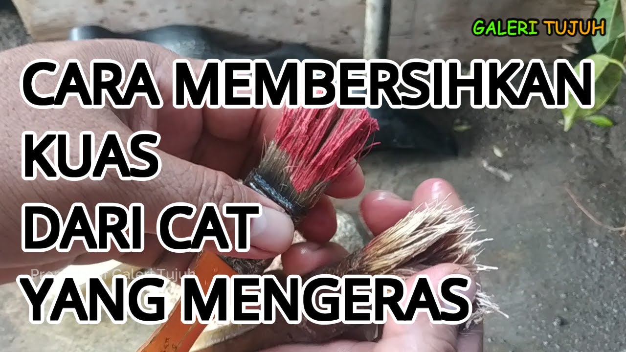 CARA MEMBERSIHKAN CAT YANG MENGERAS PADA KUAS - YouTube