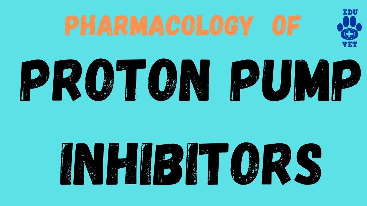 Proton Pump Inhibitors (PPIs)-Mechanism of Action with Mnemonic - YouTube