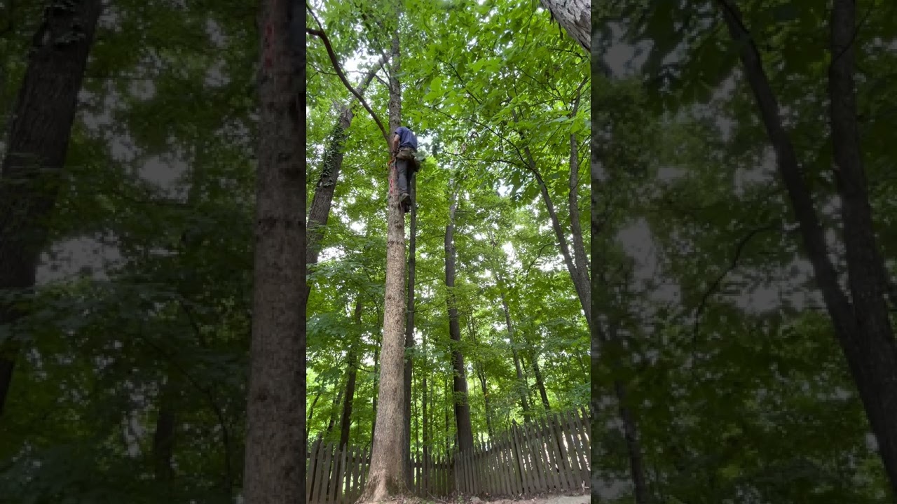 2TC + extra foot loop on top tether (first takes) - YouTube