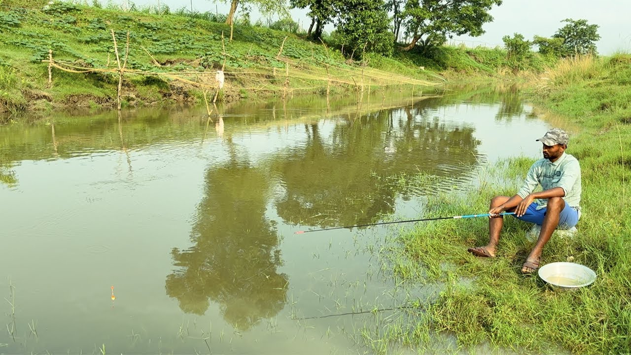 Fishing Video | Natural and Stunning Method | Catch Hook River ...