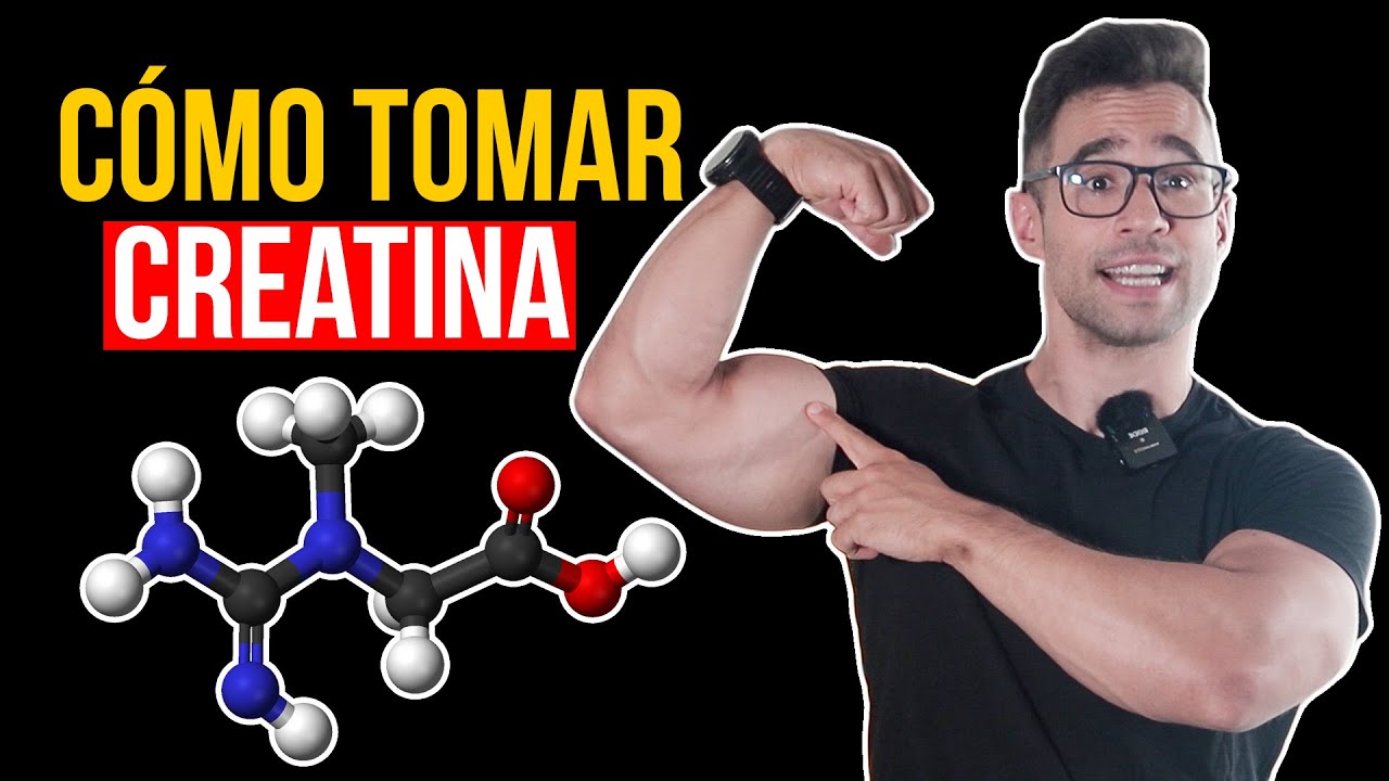 Cómo TOMAR CREATINA MONOHIDRATO de FORMA CORRECTA, Así debes tomar la ...