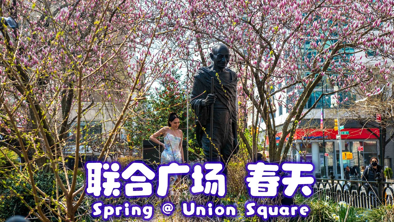 春天里的联合广场 / Union Square - YouTube