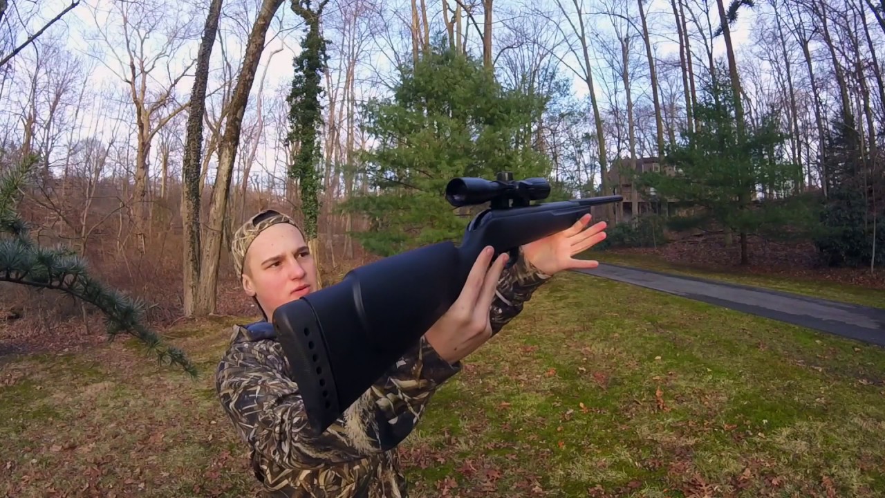 Gamo Varmint Hunter review - YouTube