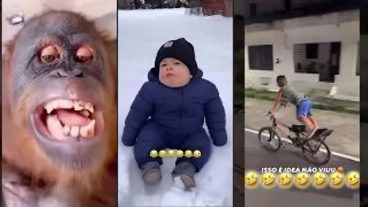 GOGO UNUSUAL MEMES COMPILATION V Part 1 - YouTube