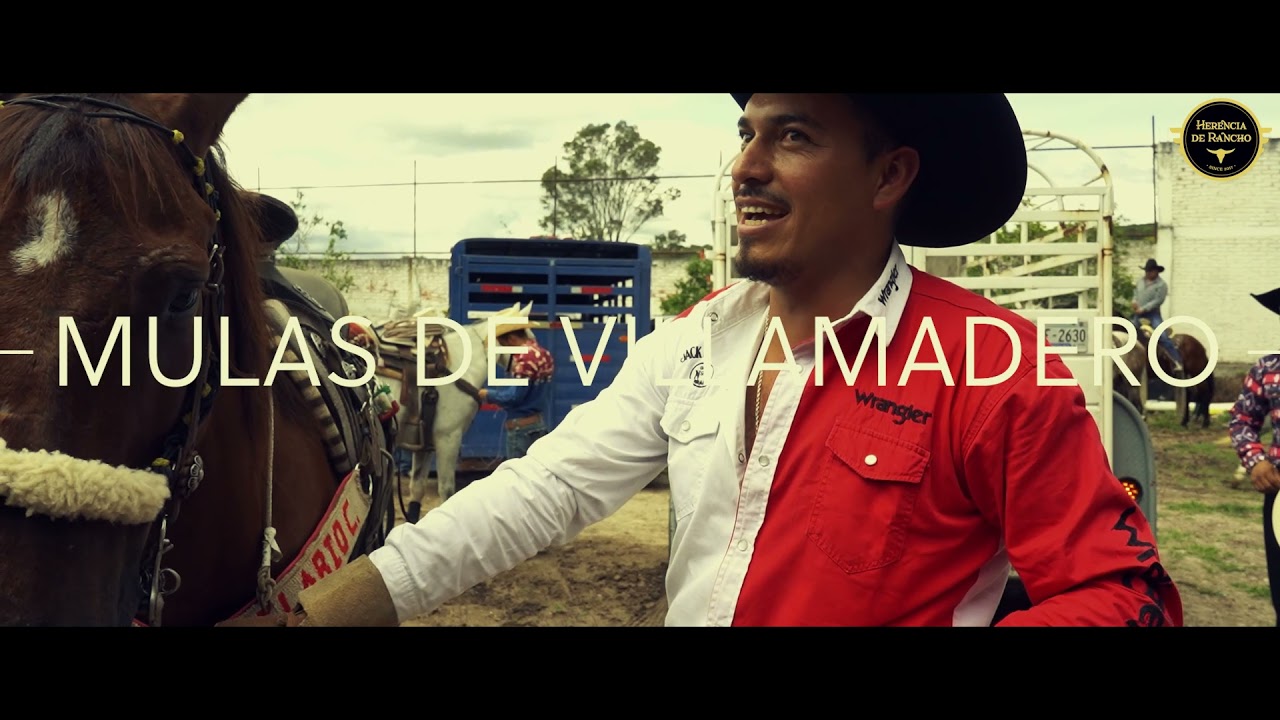 16 de enero - El Reparo, Michoacán - YouTube