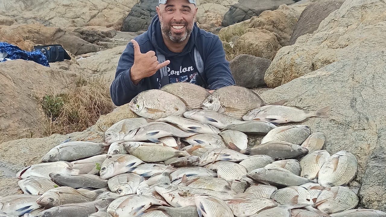 Gran pesca de sargos en Punta negra Piriápolis Uruguay - YouTube