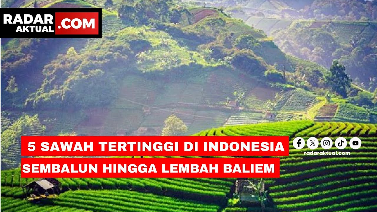 5 Sawah Tertinggi di Indonesia Sembalun Hingga Lembah Baliem - YouTube