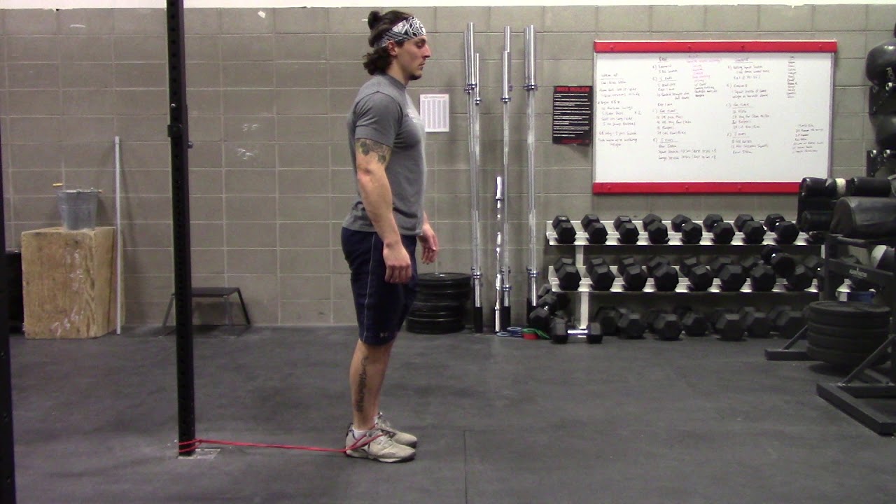 Dynamic lunge to hip flexion drive against cable/band - YouTube