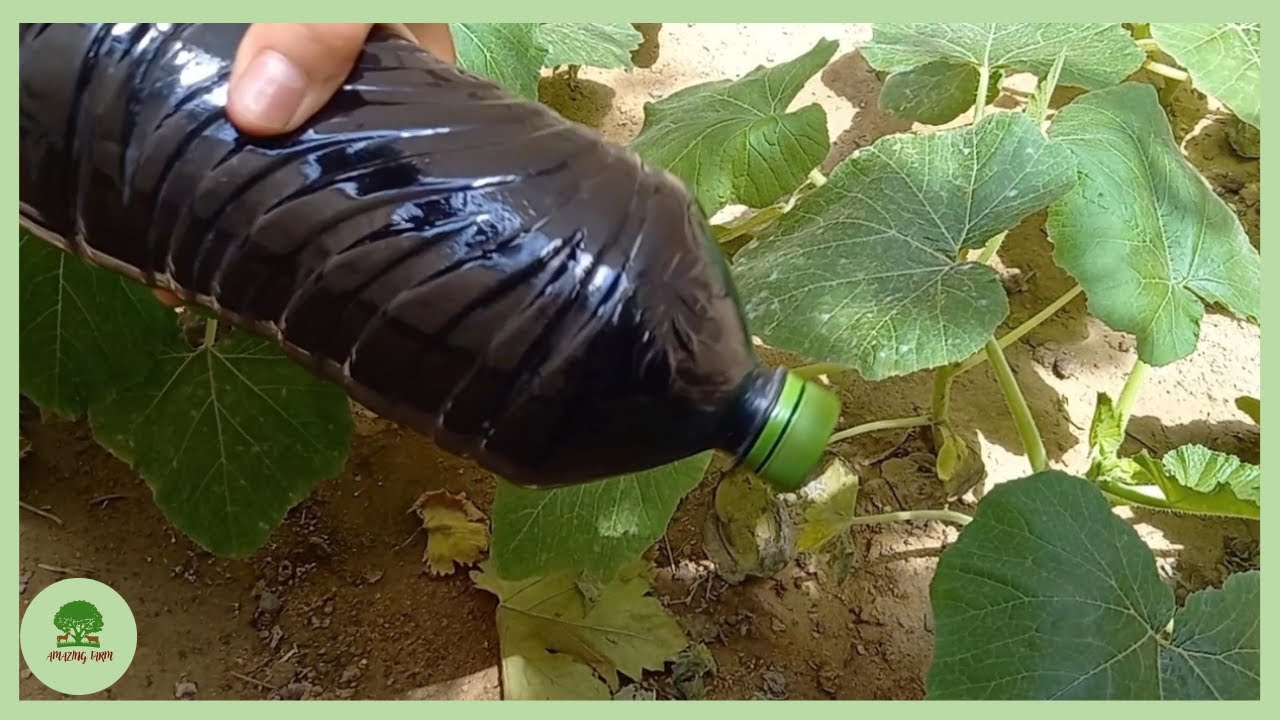 Boost Soil Health Naturally | Magical Fertilizer for Your Garden - YouTube