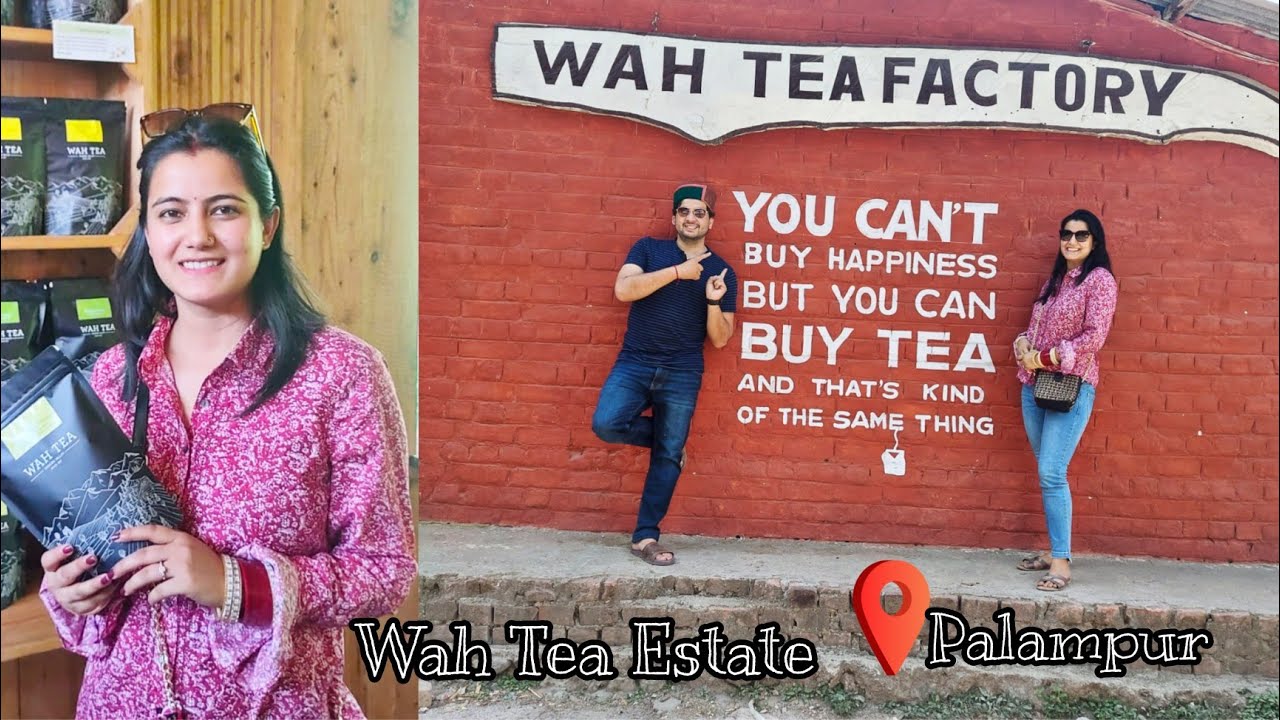 Expensive Tea In India || Wah Tea Factory Tour || Palampur ||vlog#25 ...