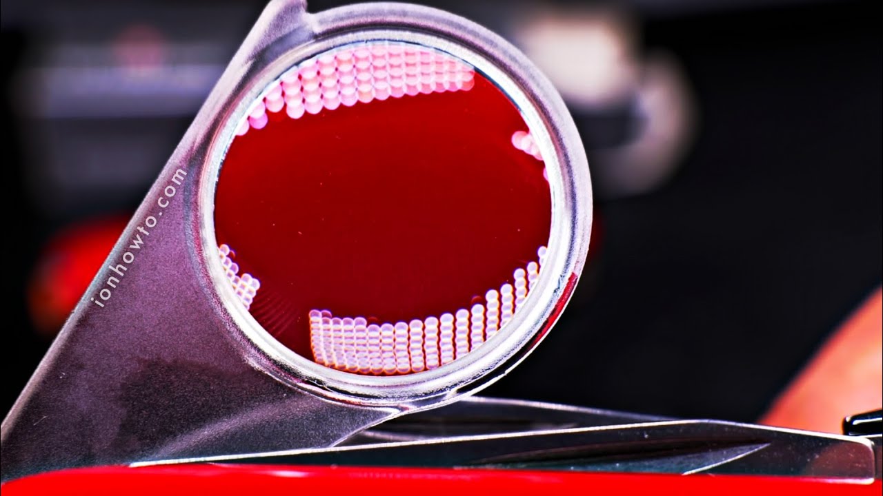 Extended Victorinox Explorer Swiss Army Knife Functions Close Look ...