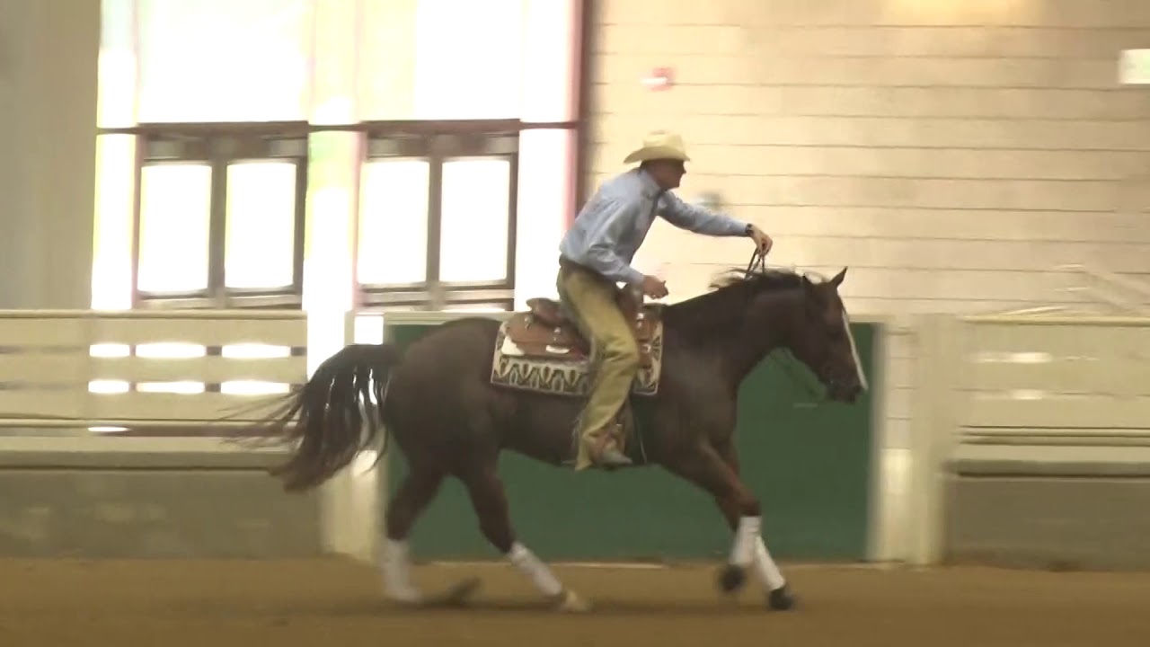 190602 Non Pro Brian Van Huss on Gunning For A Shiner - YouTube