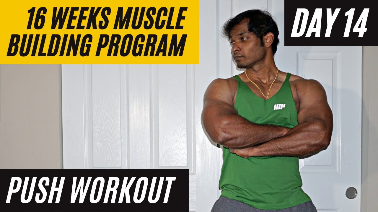 Mr.ASIA ARVIND SPARTACUS chest & triceps workout | DAY 14 | Push day w ...