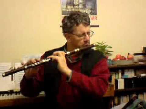 Bunker Hill - trad Irish reel played on 8-key wooden flute (#043) - YouTube