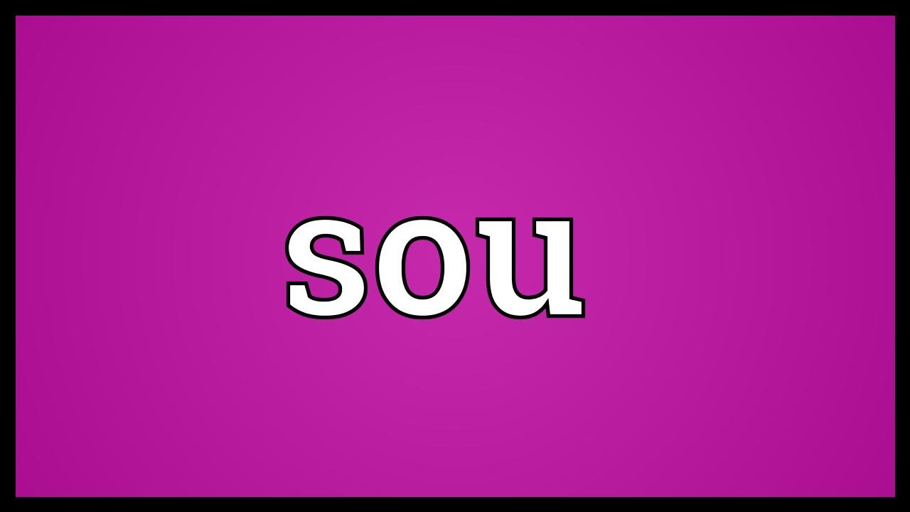 Sou Meaning - YouTube