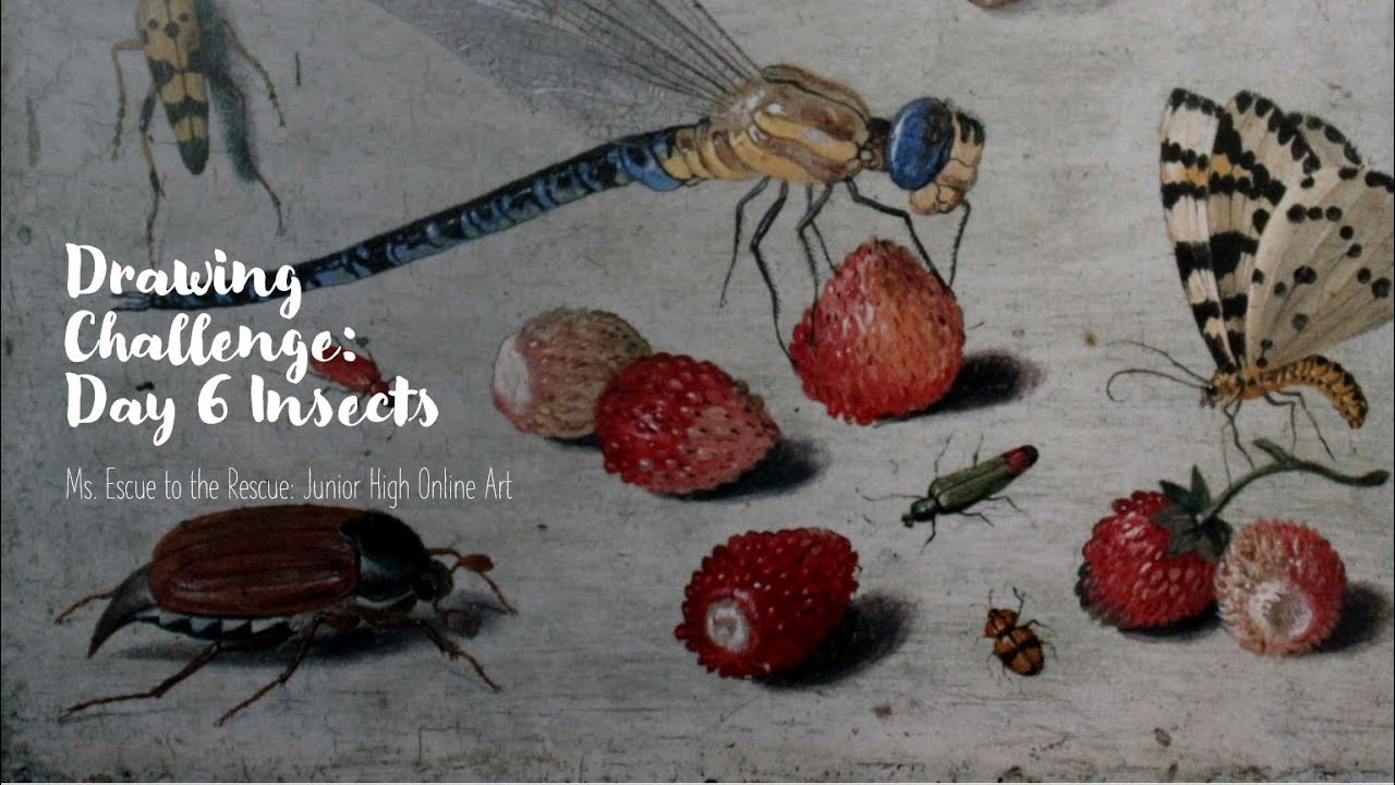 Drawing Challenge: Day 6 Insect - YouTube