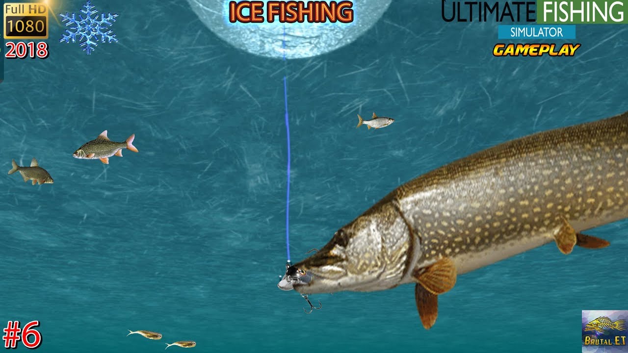 ULTIMATE FISHING SIMULATOR #6 ICE FISHING BROCHET PERCHE ESTURGEON JEU ...