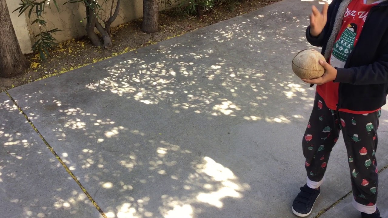 How to break a coconut in 1 easy step!!!!! - YouTube