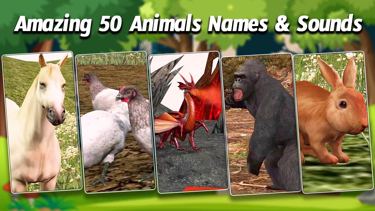 Animal Sounds for Kids || amazing animals ||50 Animals Name and Sounds ...