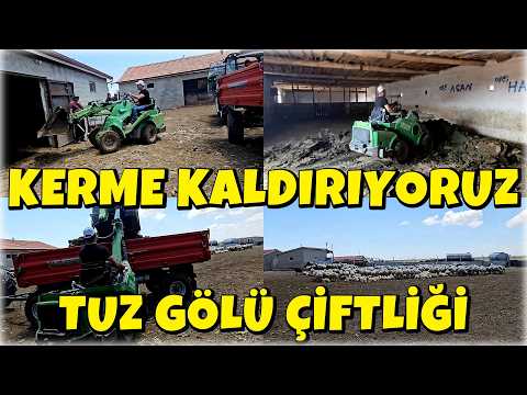 TUZ GÖLÜ ÇİFTLİĞİNDE KERME KALDIRIYORUZ