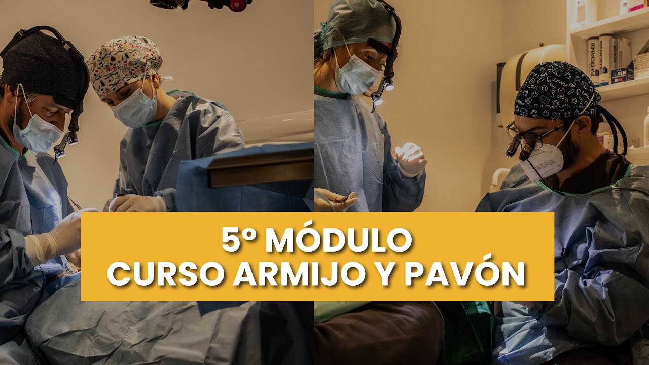 FINALIZAMOS LA VII EDICIÓN DEL CURSO DE ARMIJO Y PAVÓN - YouTube