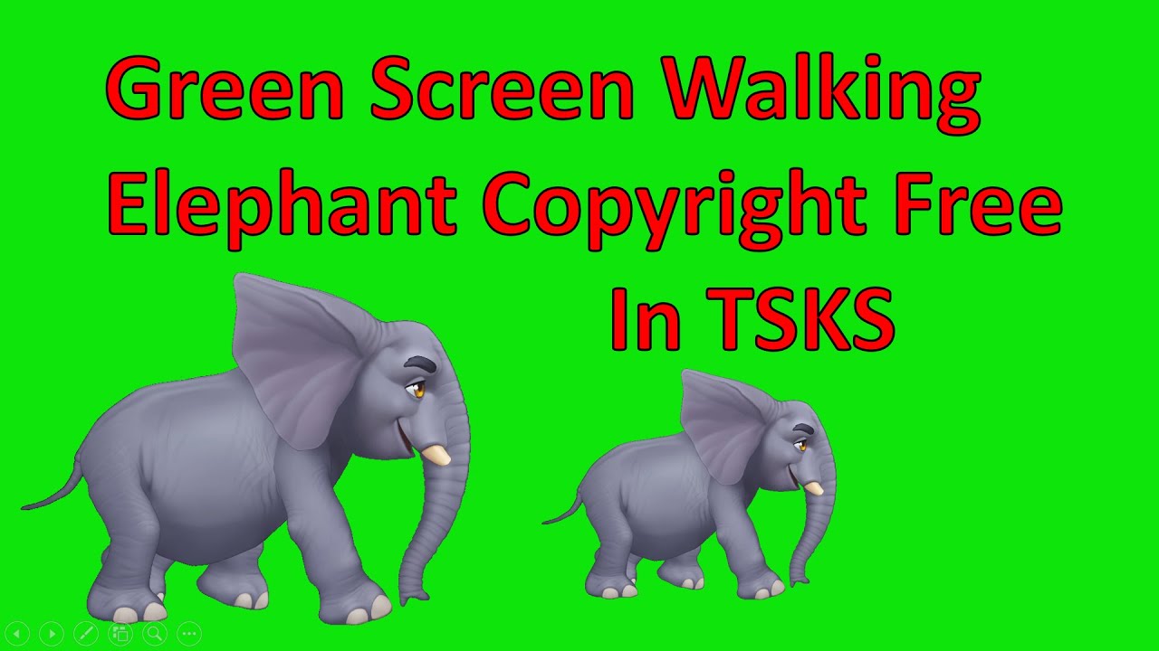 Green Screen walking Front Elephant / walking elephant - YouTube