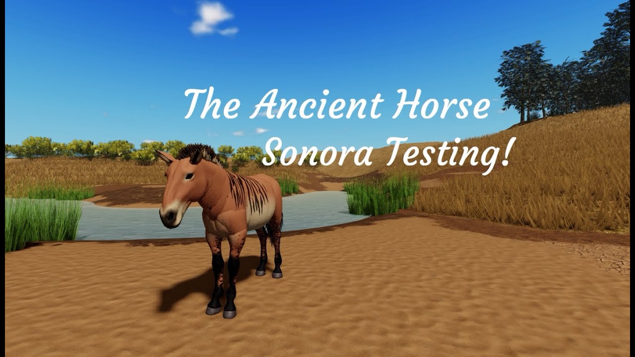 The ANCIENT HORSE! | Sonora Testing | Roblox - YouTube