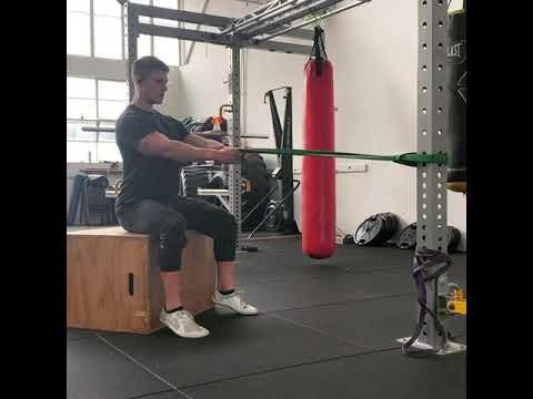 Seated Banded Row - YouTube