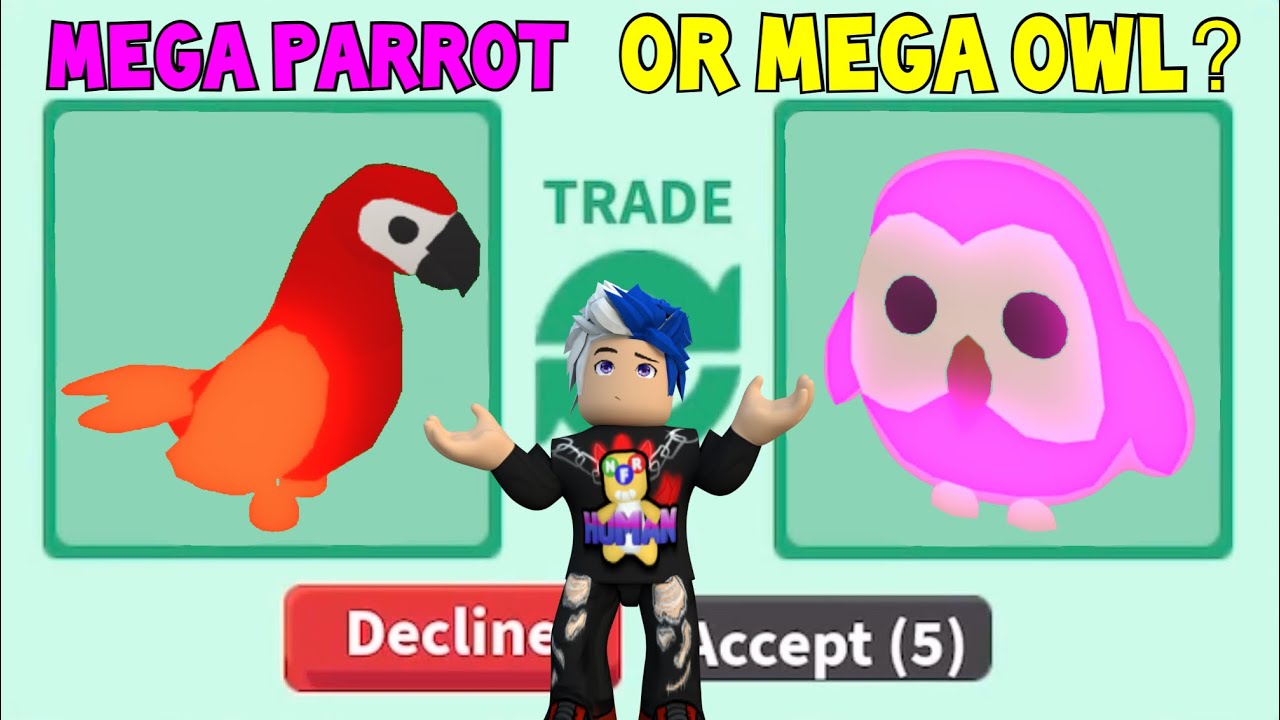 Mega Parrot VS. Mega Owl: Which One Gets the Better Offers? - YouTube