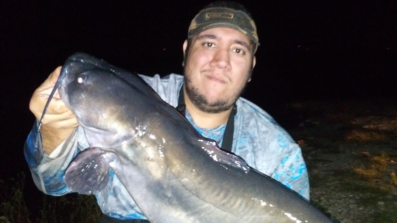 Late Night Catfishing - YouTube