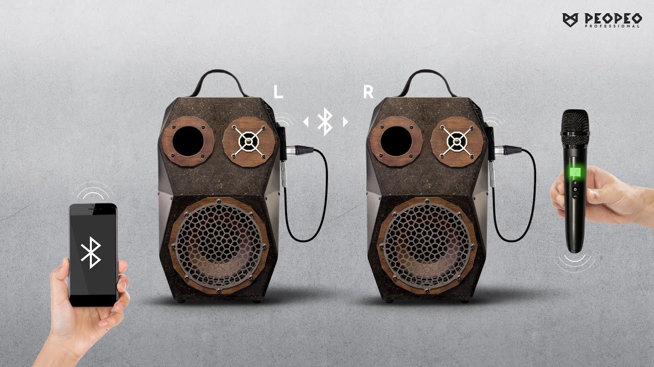 FONCTION 4 : Connexion d'un micro sans fil sur 2 VOODOO PRO connectées ...