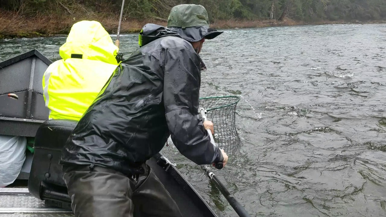 Steelhead on the Sol Duc - YouTube