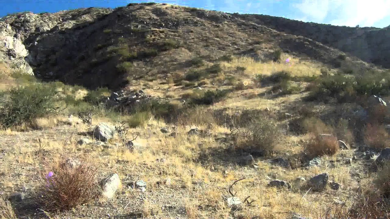 Deer Hunt D14 2011 Season Second Hunt Tag Suop - YouTube