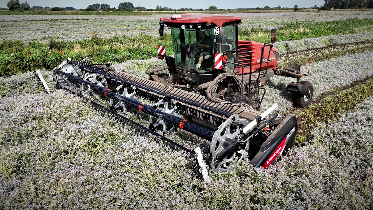 CUSTOMER REVIEW: MacDon M1170 NT5 windrower and D225 header - YouTube