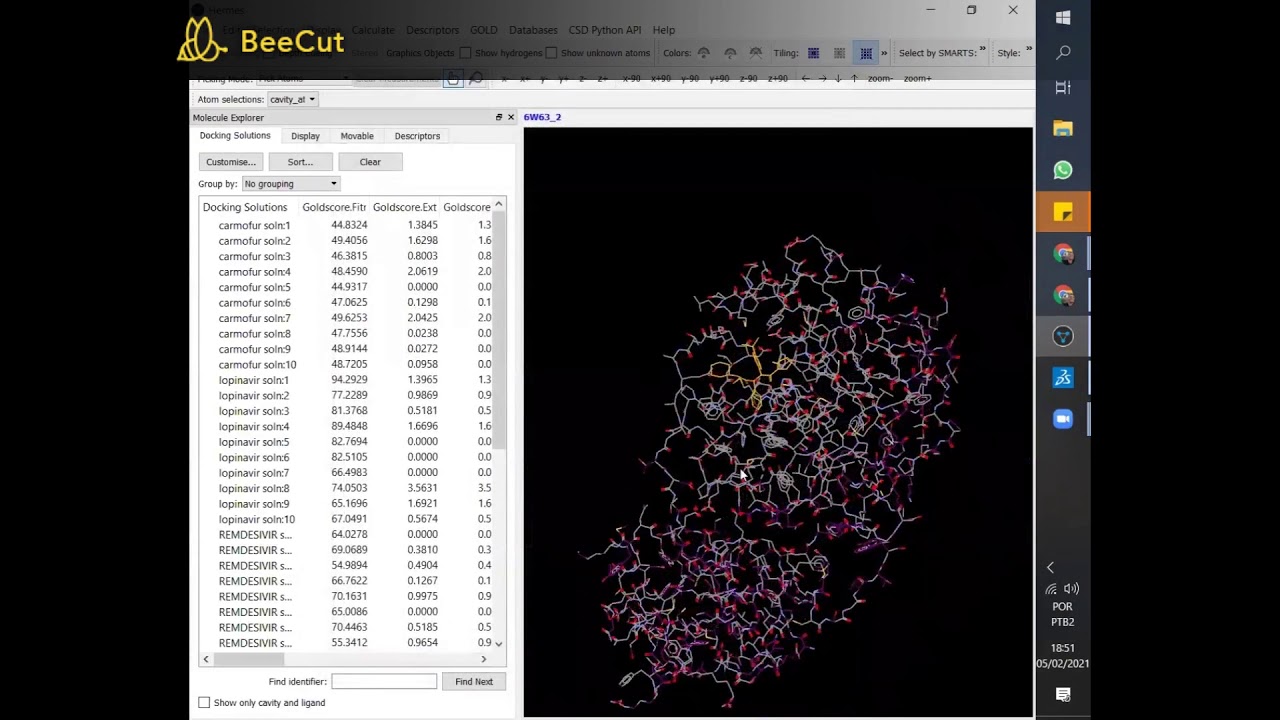 Tutorial Docking Molecular Programa GOLD 5.8.1 CCDC - YouTube