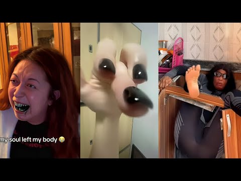 Random videos I watch at 2 a.m. #15