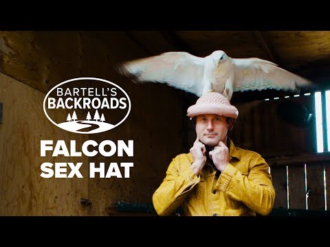 How this odd hat may have saved peregrine falcons from extinction | Bartell's Backroads