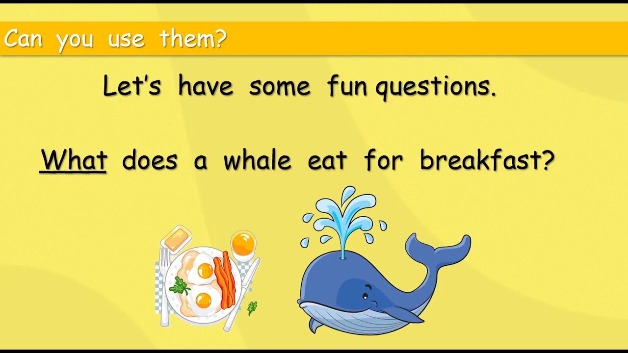 WH words and fun questions for you this time. Conversation for grade 1 ...