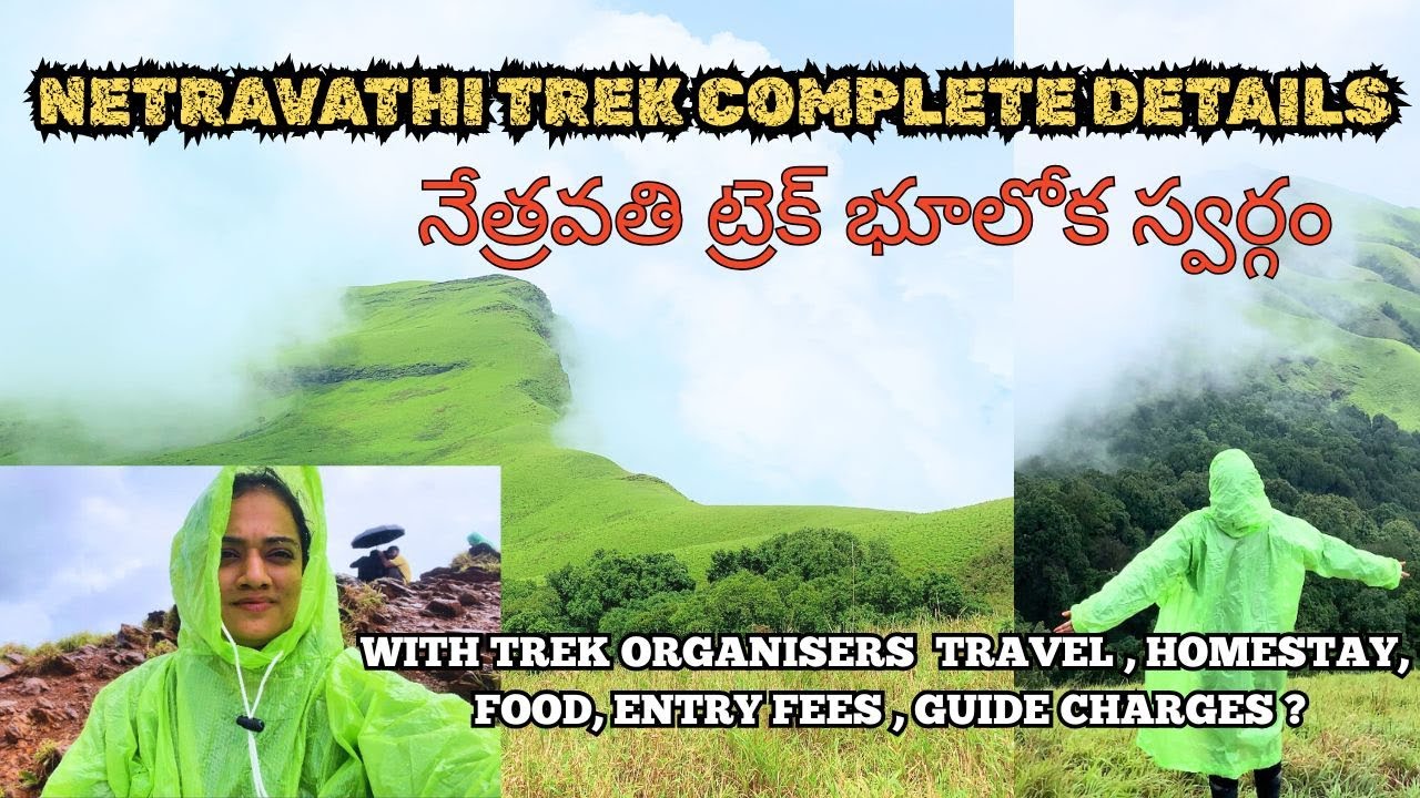 NETHRAVATHI TREKKING COMPLETE DETAILS IN TELUGU | KALASA CHIKMAGALUR ...