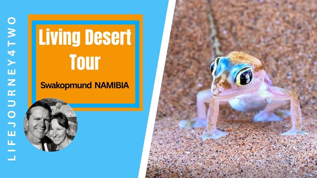Namibia's Hidden Gems: Discover the Mysteries of the Little 5 Desert ...