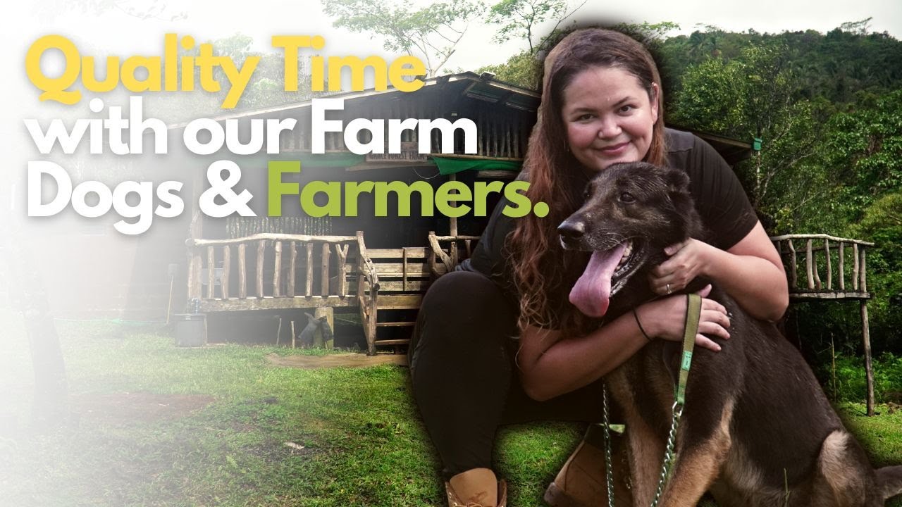 SPENDING WEEKEND WITH OUR FARM DOGS and FARMERS. - YouTube