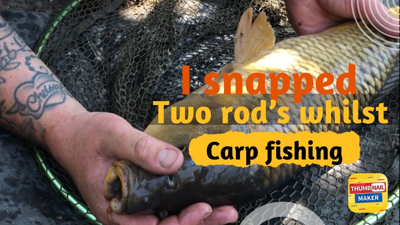 I snapped two rods whilst carp fishing! Surface fishing with bread ...
