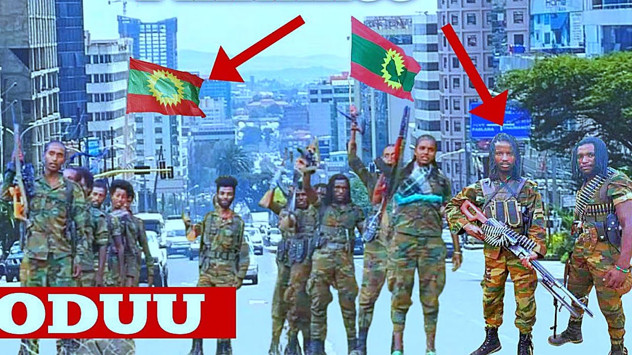 ODUU MOHA WBO'n Waraana bilsiginnaa daaraa godhuu fi Eritrean Fano ...