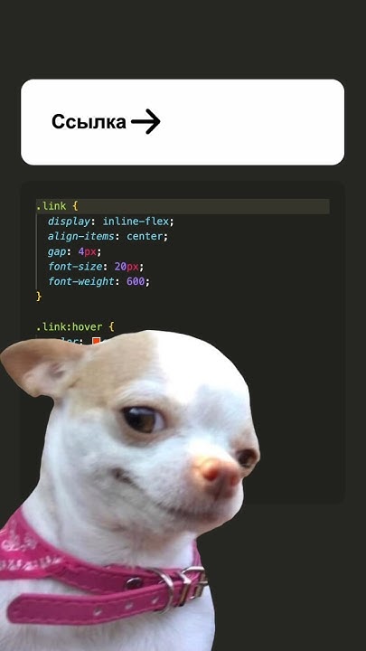 😍 Как быстро изменить цвет иконки в Css Frontend Programming Js Javascript Css Hobby