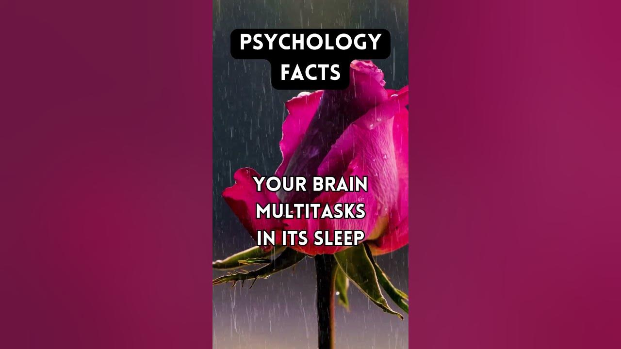 Inside the Sleeping Brain: Multitasking Dreams - YouTube