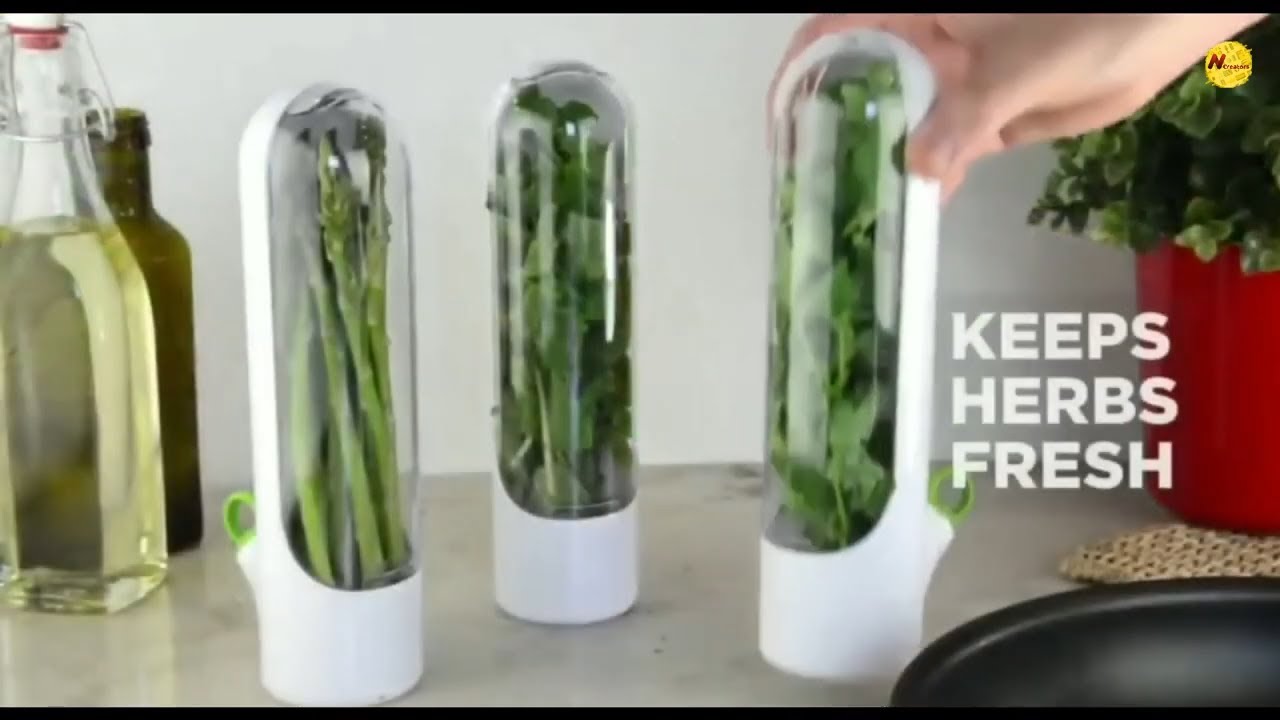 3 Amazing Kitchen Gadgets For your smart kitchen Renovation - YouTube