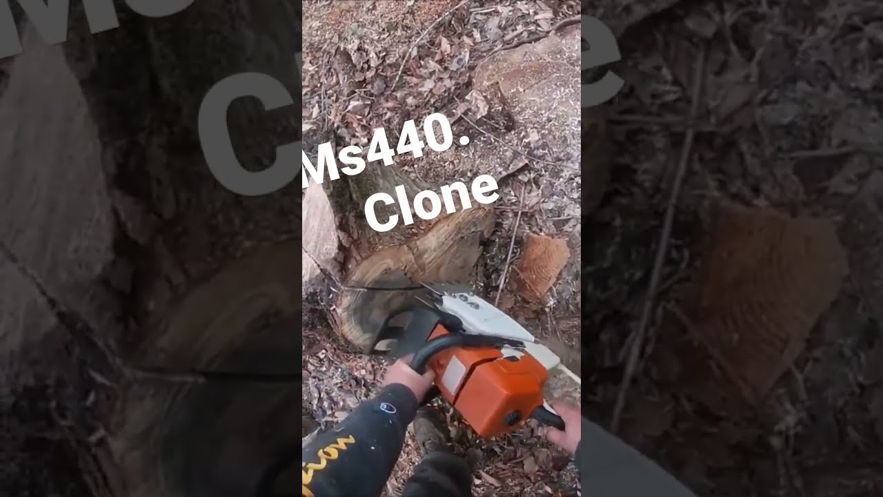 Ms440 clone store