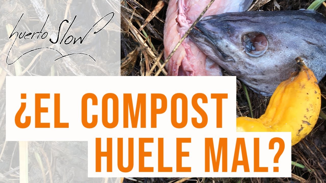 ¿El compost huele mal? - YouTube