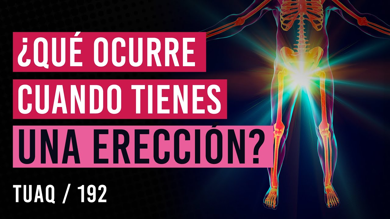 ¿qué Le Ocurre A Tu Cuerpo Cuando Tienes Una Erección Youtube